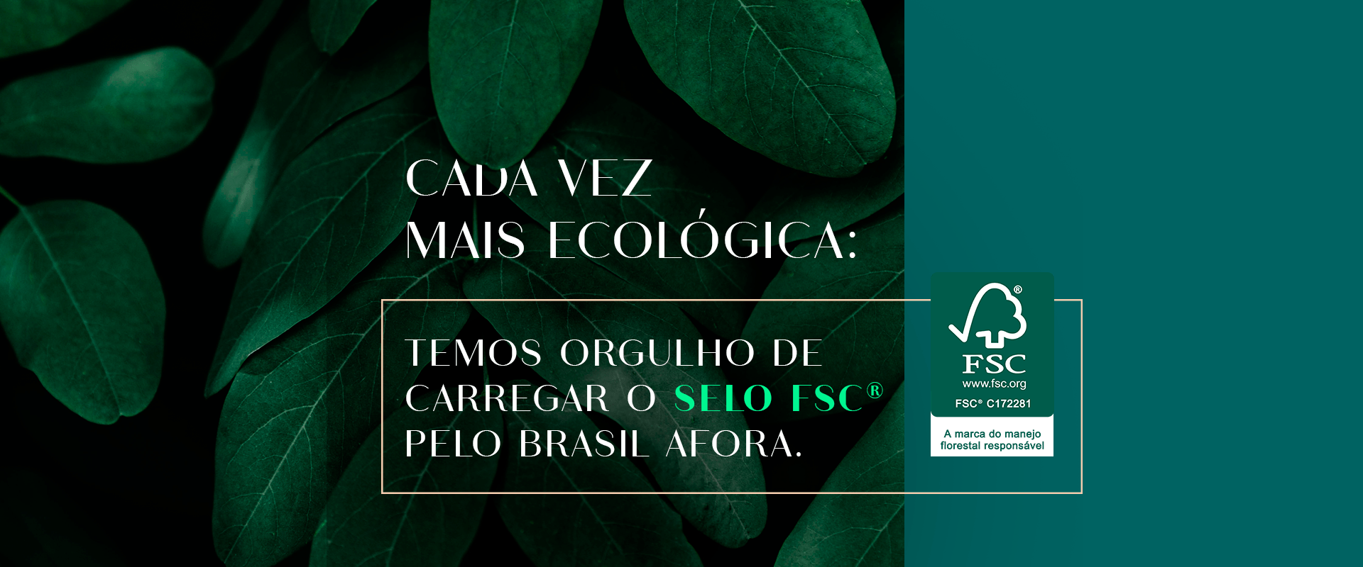 Cada vez mais ecológica: Moldurarte conquista o selo FSC® no Brasil ...