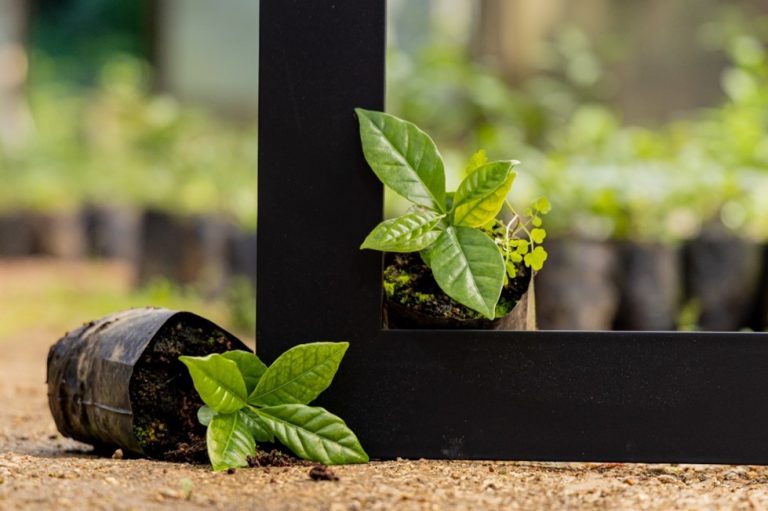 A Coleção Eco Frames ganhou mais cores, confira! - Moldurarte