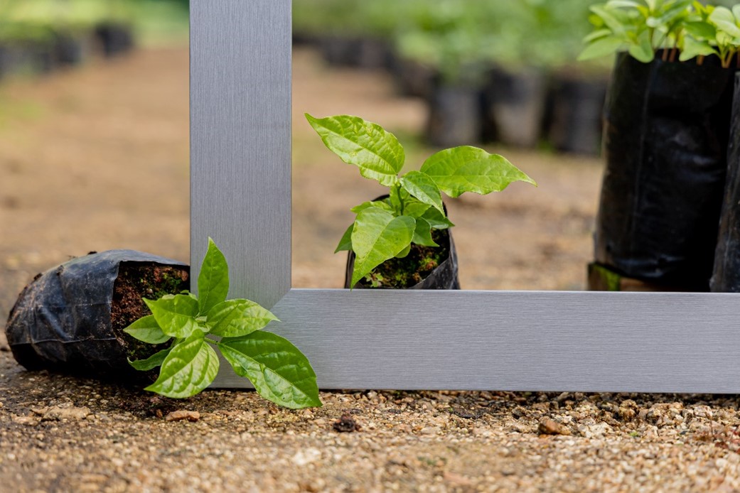 A Coleção Eco Frames ganhou mais cores, confira! - Moldurarte